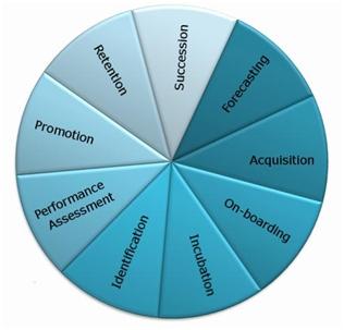 The Talent Management Wheel | Talent2Lead Talent Management